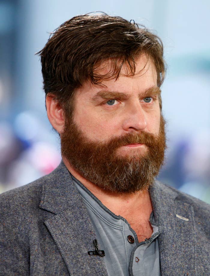 robert redford beard