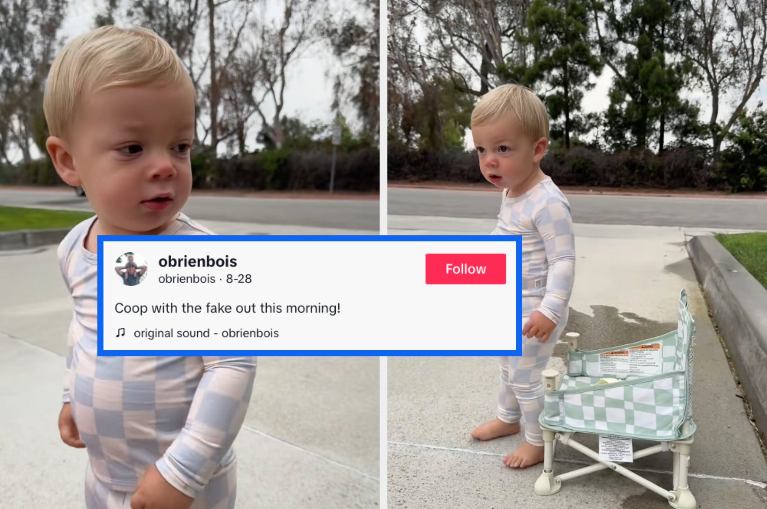How One Toddler On A Stoop Took Over The Internet