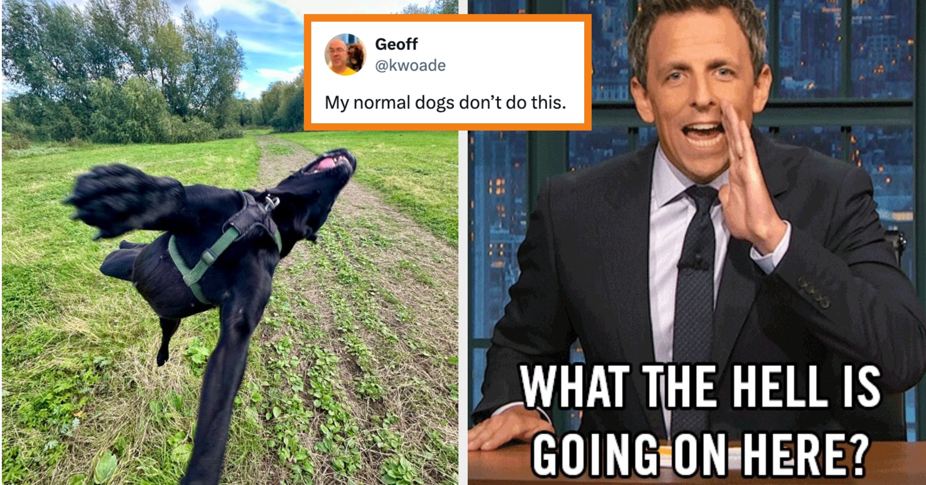 31 Hilarious Internet Fails From Last Week