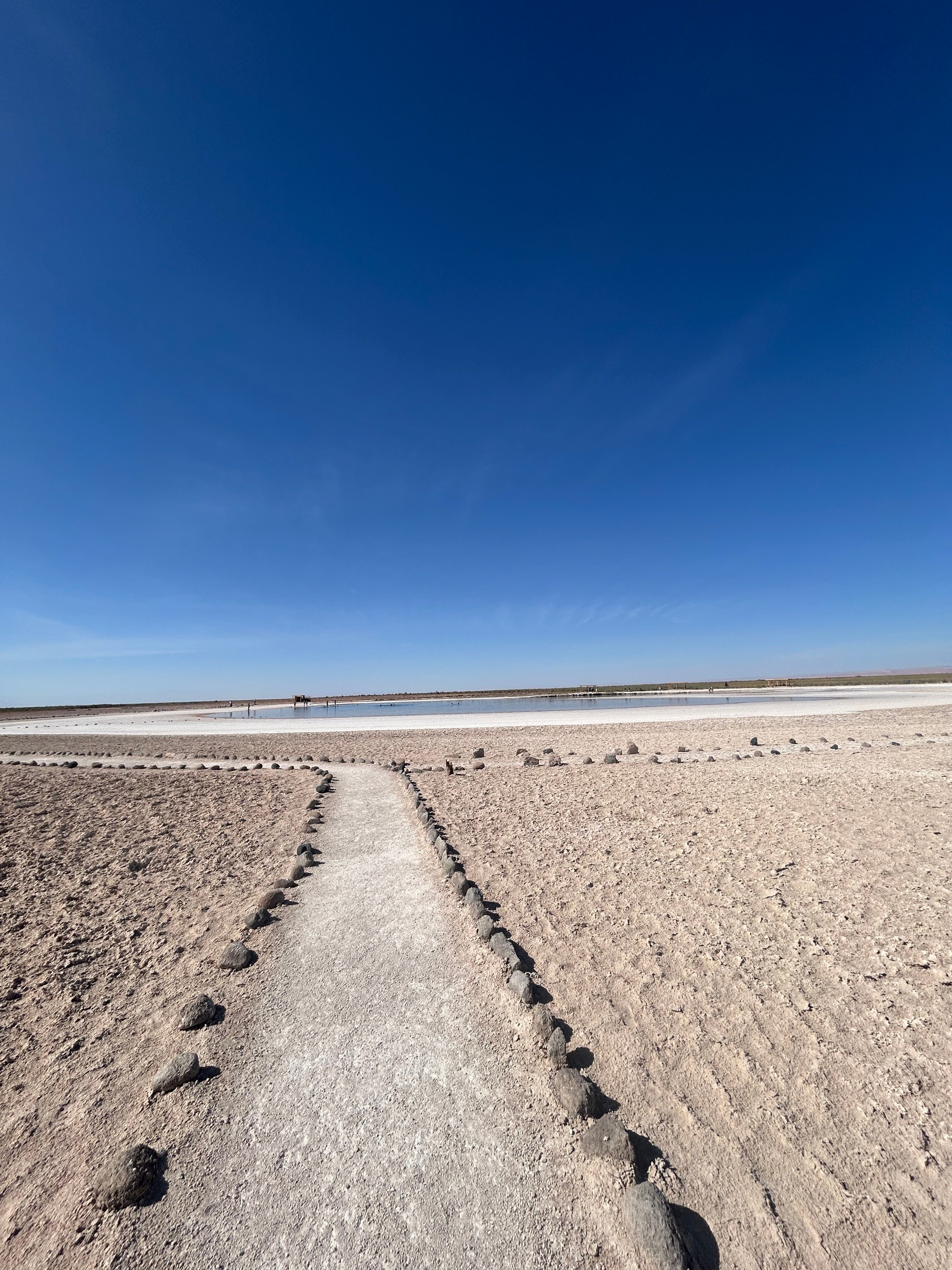 49 Unexpected Things I Found In The Driest Place On Earth