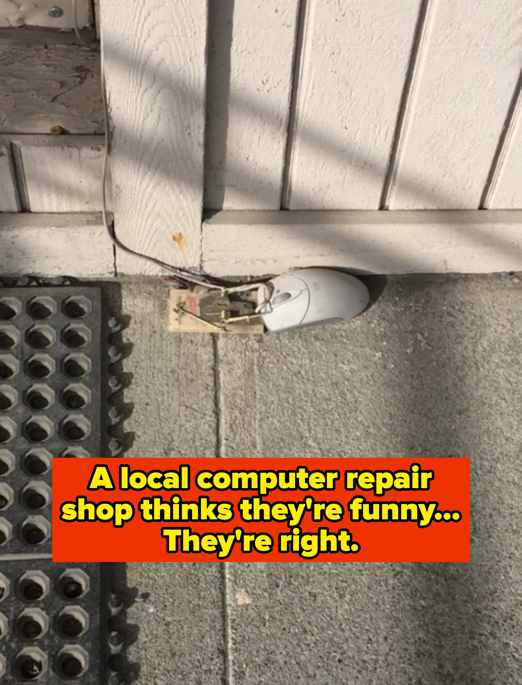 43 Hilariously Dumb Photos