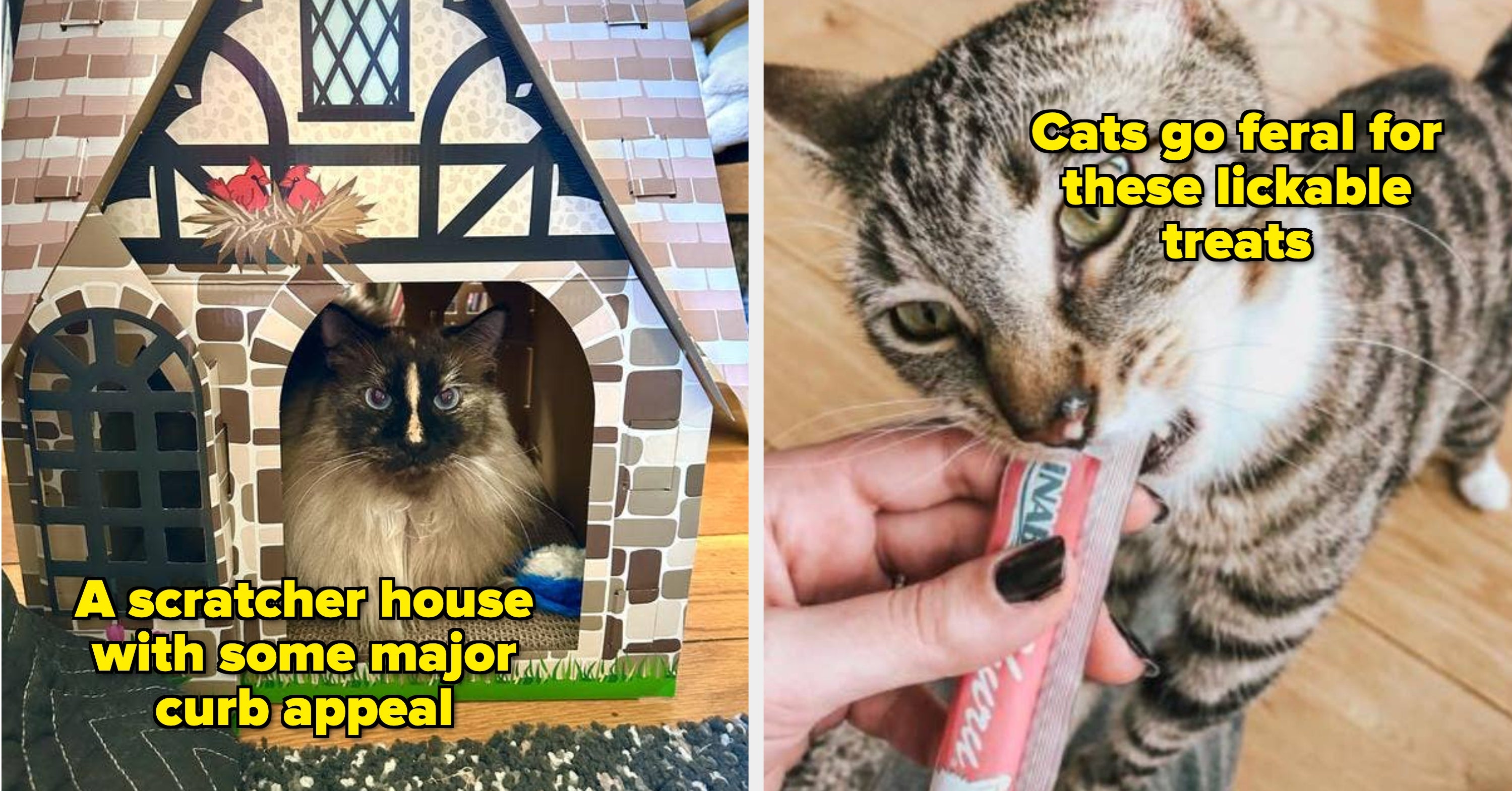27 Chewy Products Your Cat Will Absolutely Love