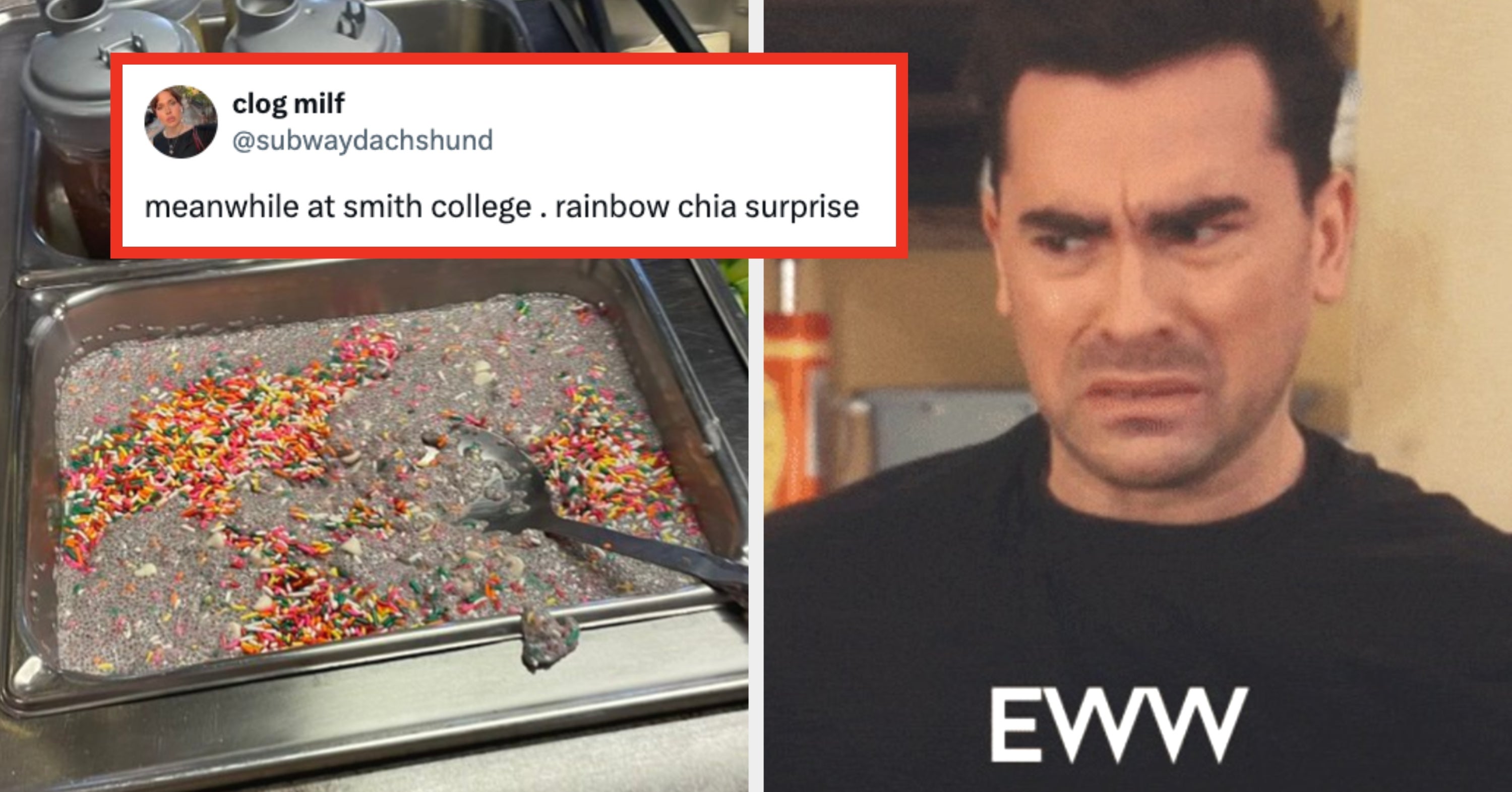 29 Hilarious Internet Fails From Last Week