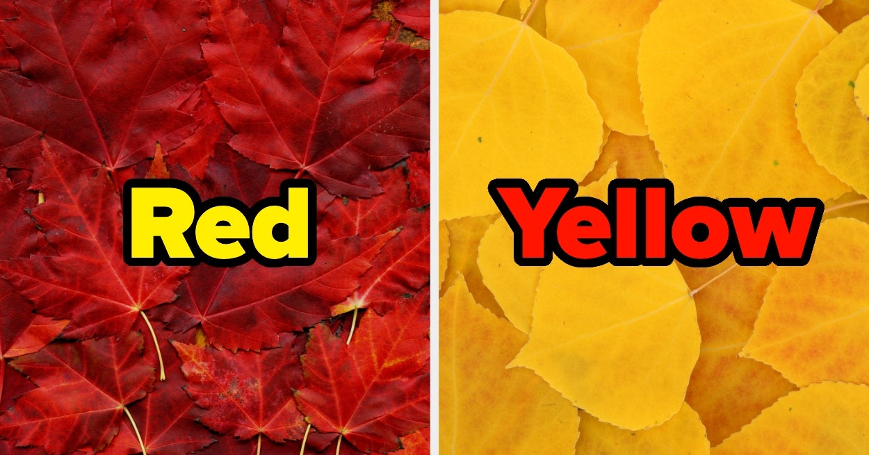 Which Fall Leaf Color Matches Your Personality? Quiz