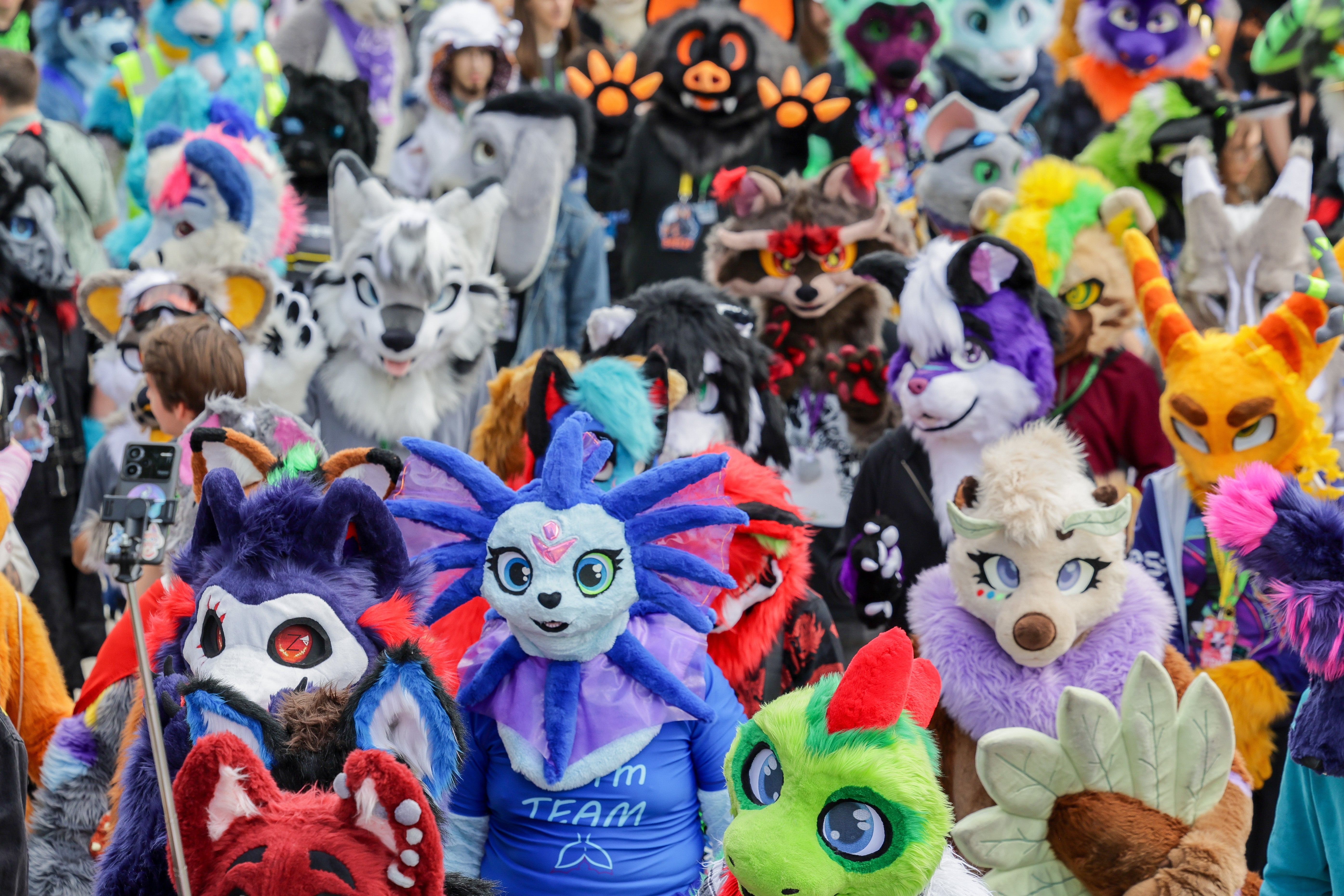 Furries, Tell Us About What It's Really Like