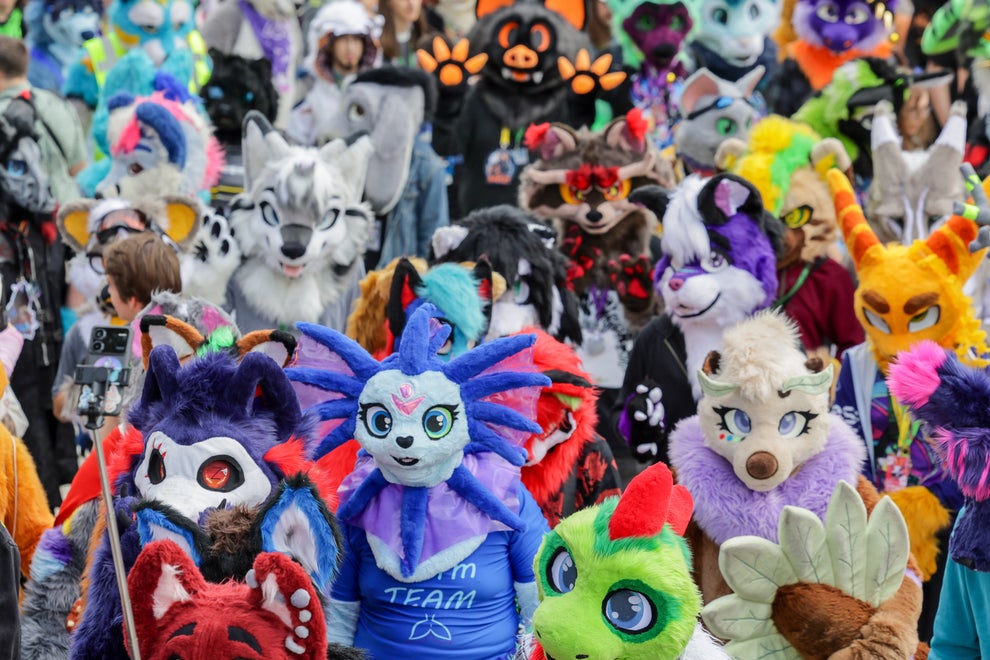 Furries, Tell Us About What It's Really Like