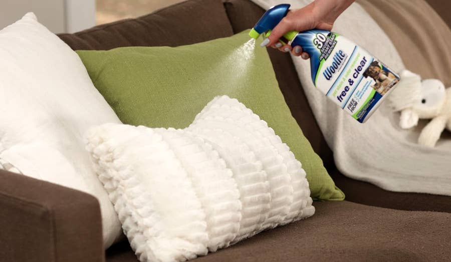 awesome couch cleaner