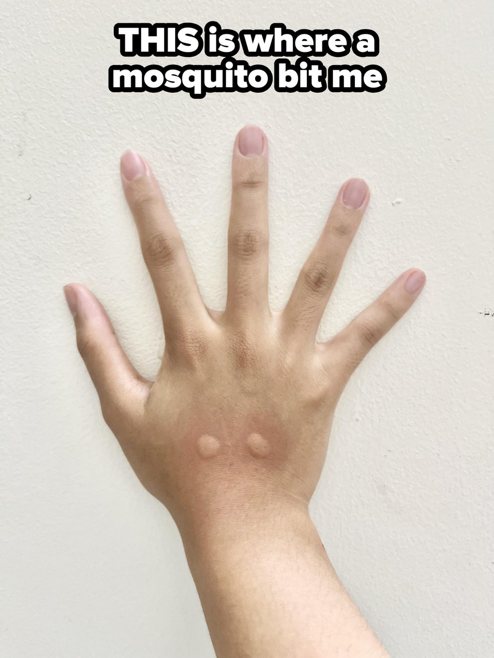 18 People Who Got Completely And Totally Steamrolled By The ...