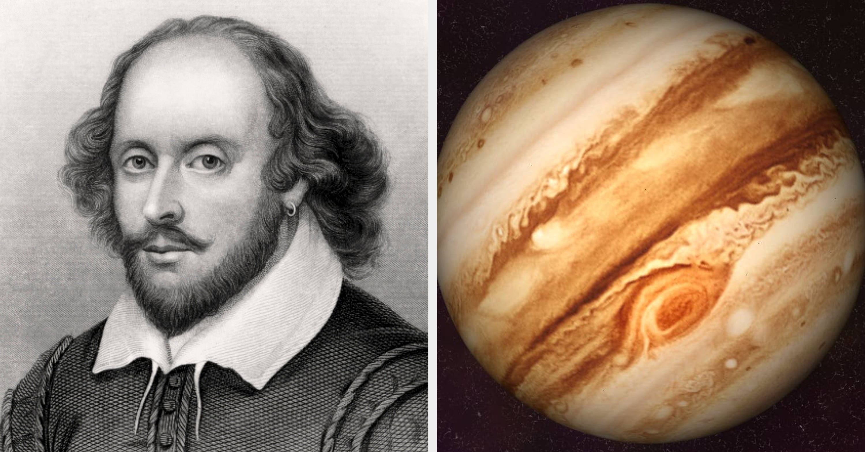 The Best Random Useless Knowledge Quiz