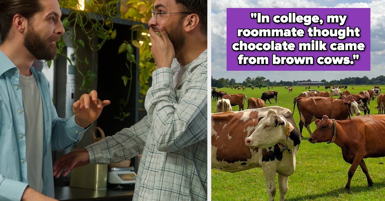 19 Adults Share The Wildest Things They Had To Explain To Other Adults