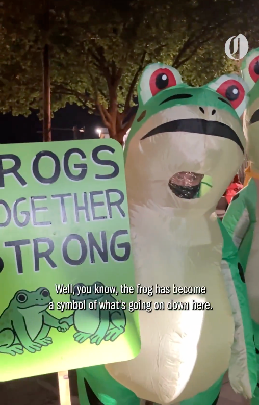 Explainer: Why You're Seeing Frogs Protesting ICE