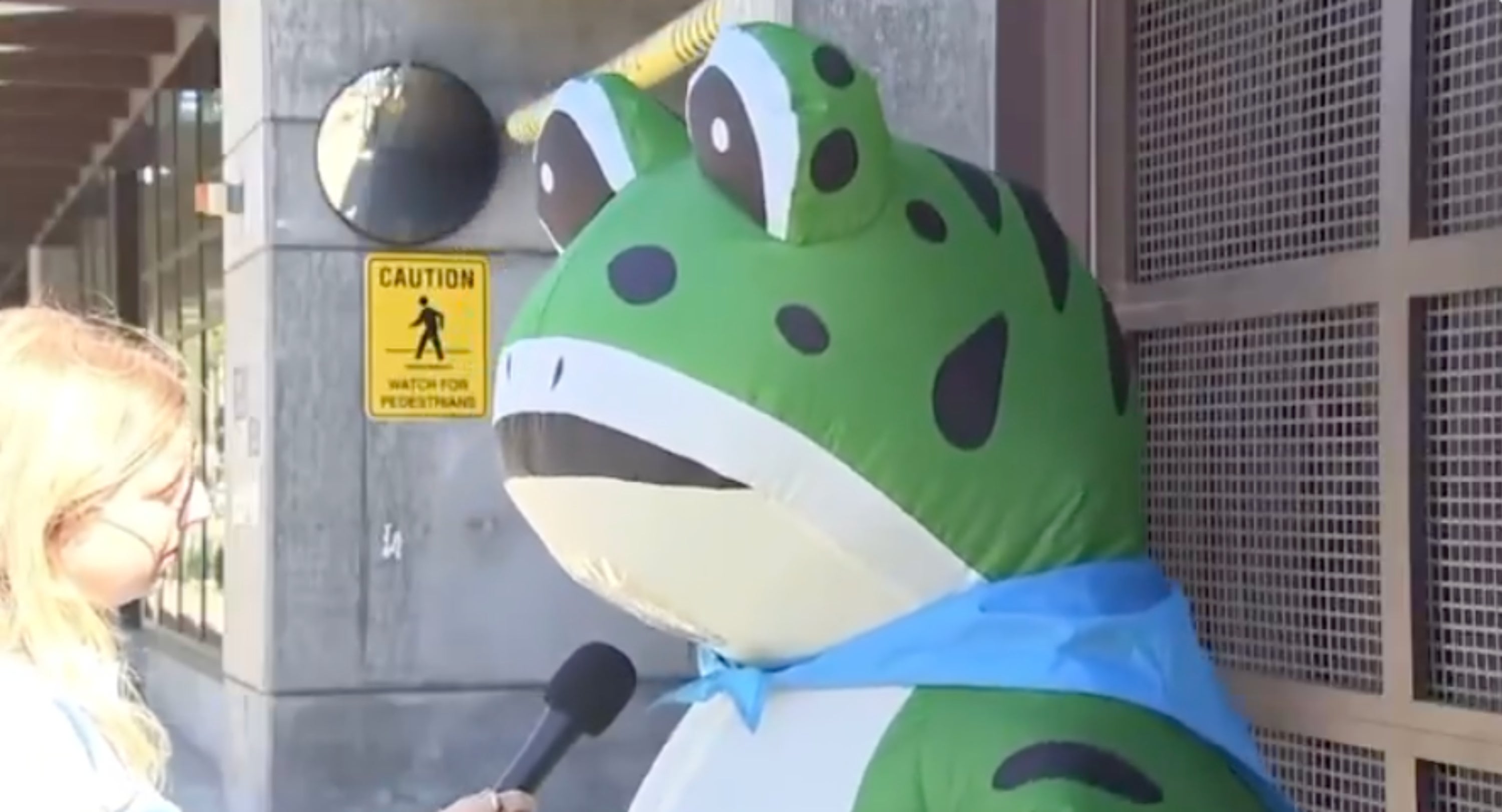 Explainer: Why You're Seeing Frogs Protesting ICE