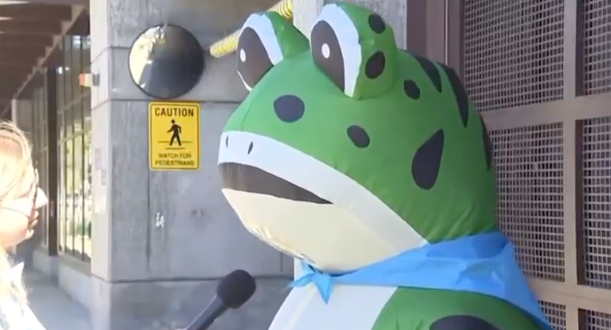 Explainer: Why You're Seeing Frogs Protesting ICE