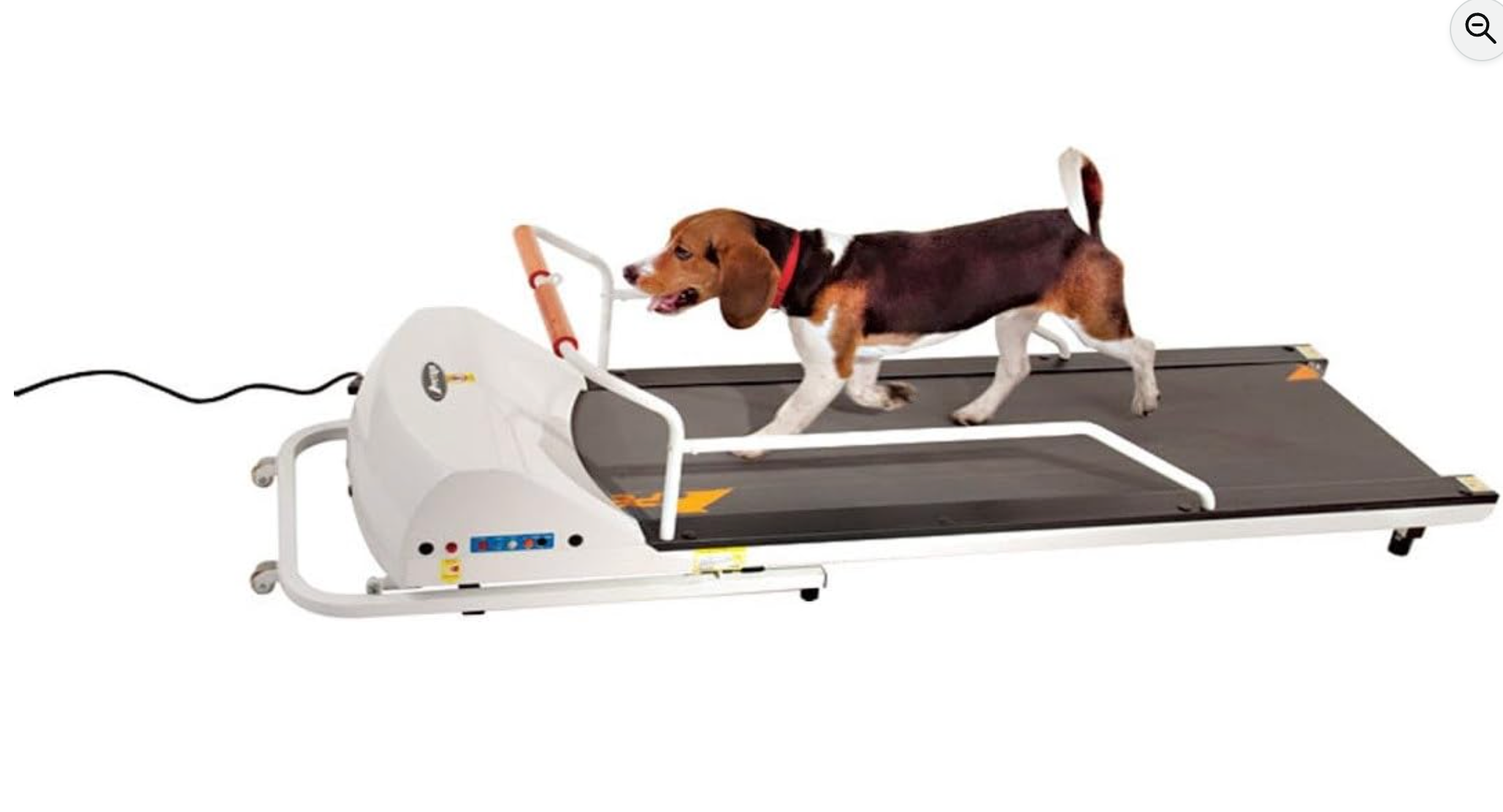 18 Best Treadmills For Dogs 2026