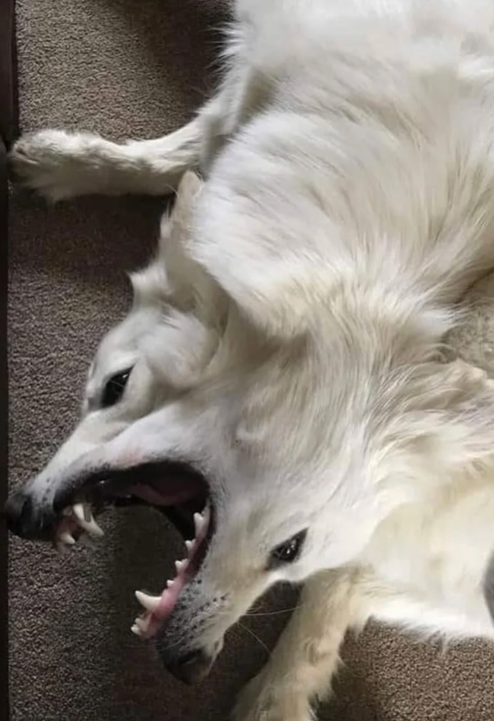 13 Mind-Bending Images That Will Confuse Your Brain