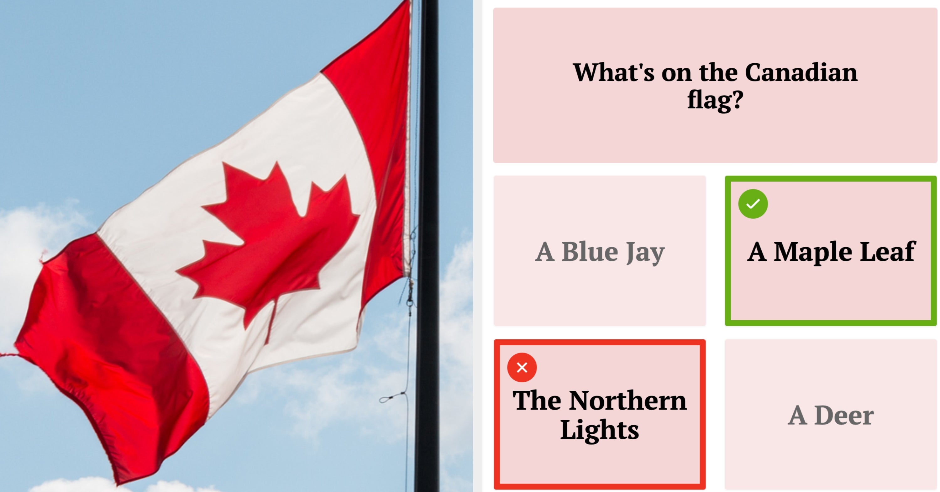 Canadian History Trivia Quiz | BuzzFeed Quizzes