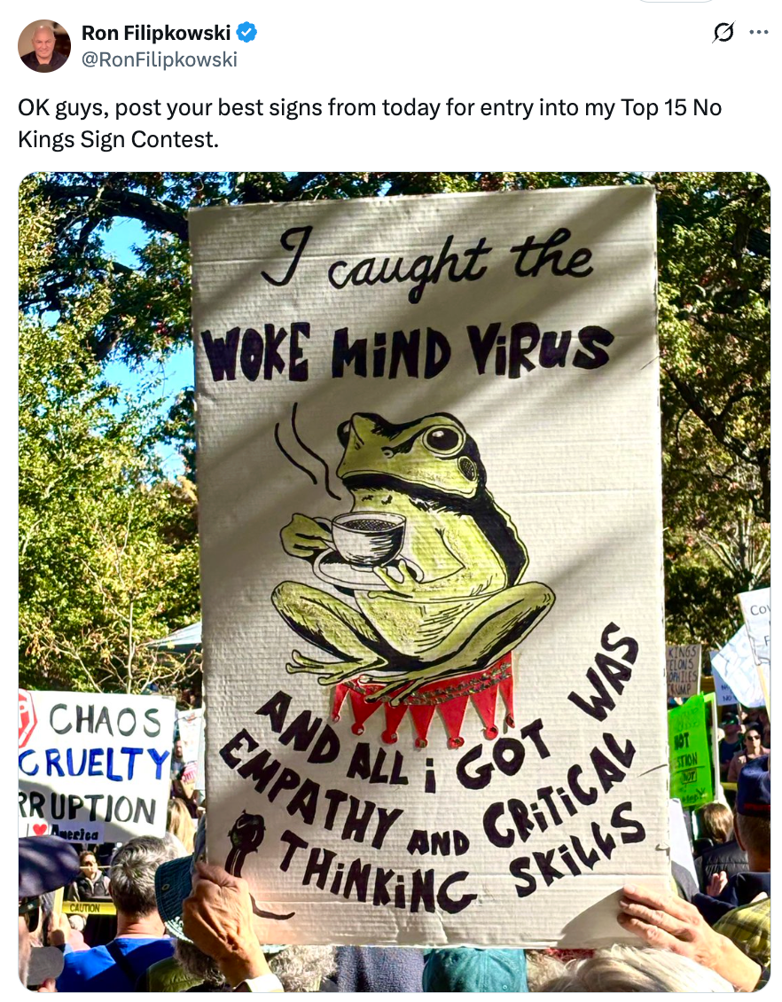 The 42 Absolute Funniest "No Kings" Protest Signs