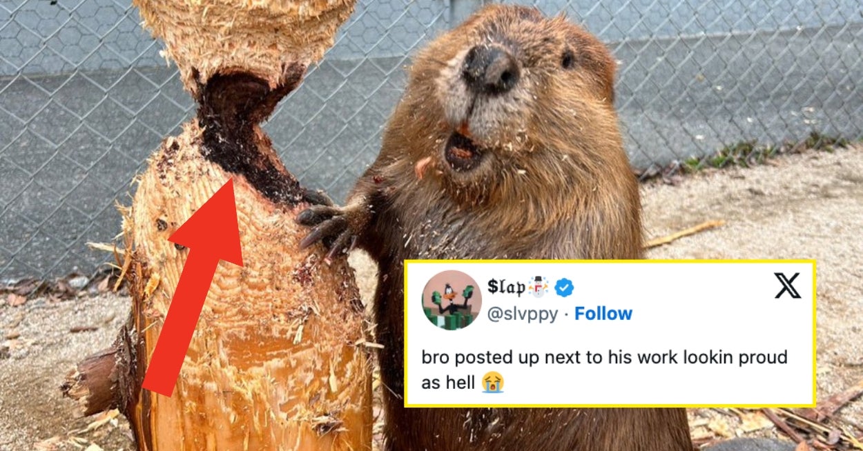 24 Funny Tweets That'll Cast A Very Needed Laughter Spell On You