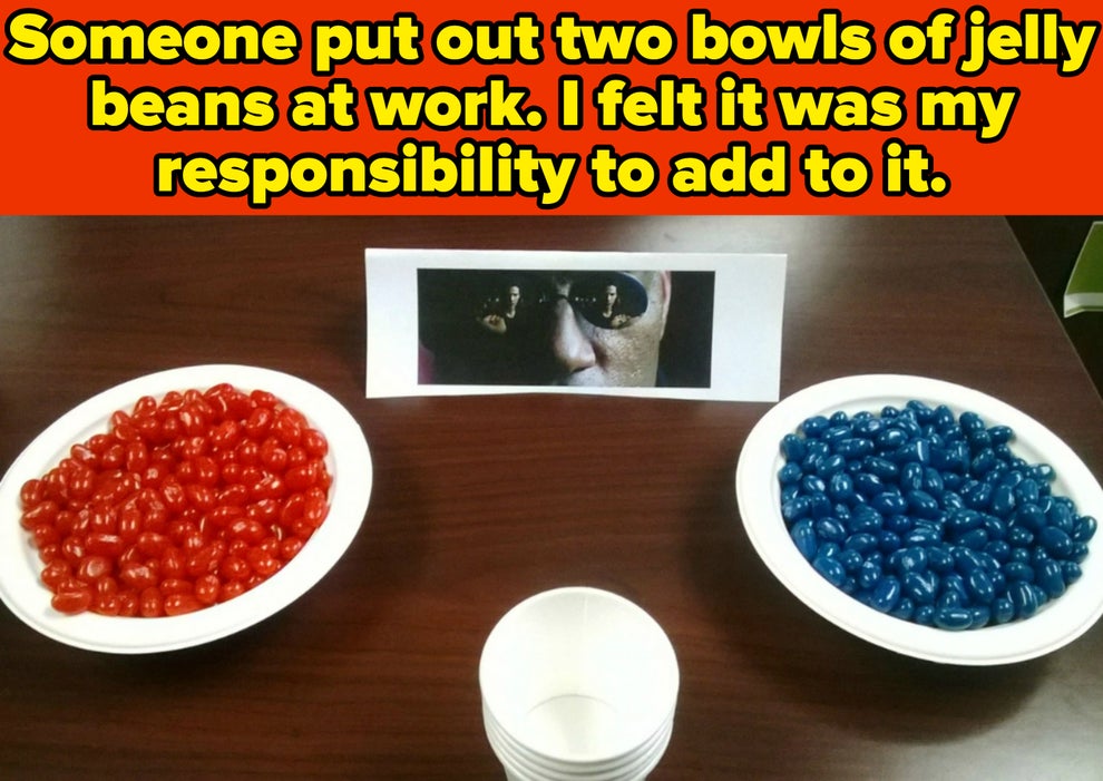 100 Hilarious Photos To Brighten Your Day