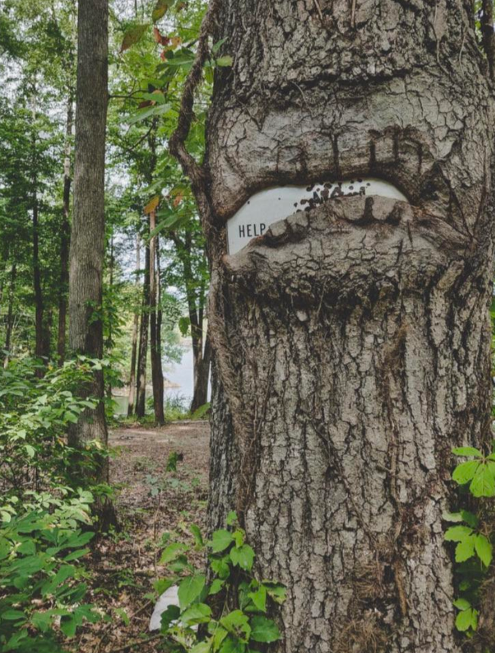50 Disturbing Real Signs That Prove The World Is Way More Terrifying ...