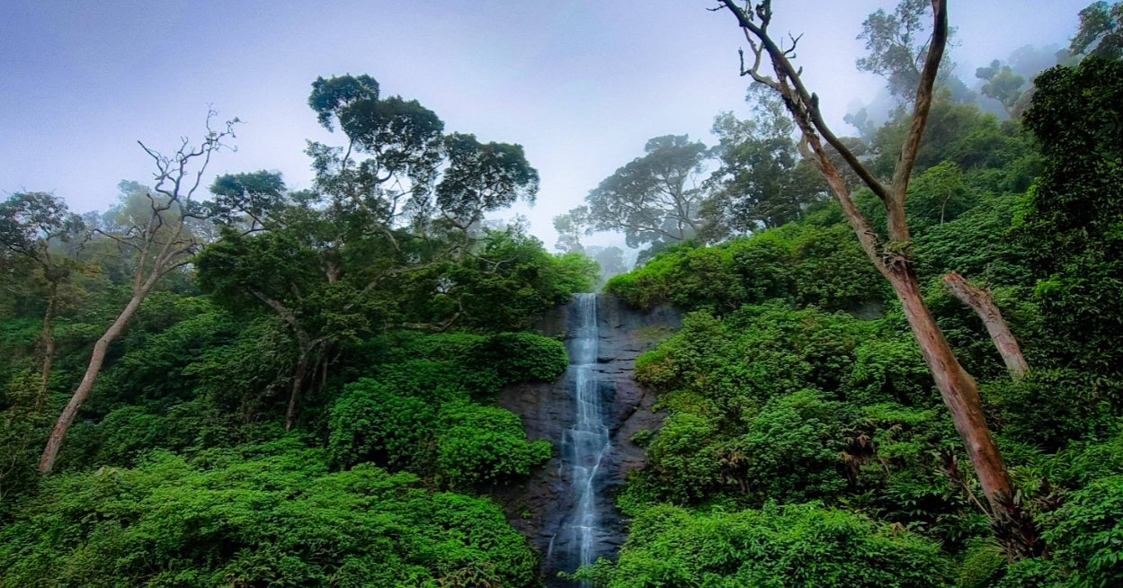 The Most Relaxing Personality Quiz You'll Ever Take