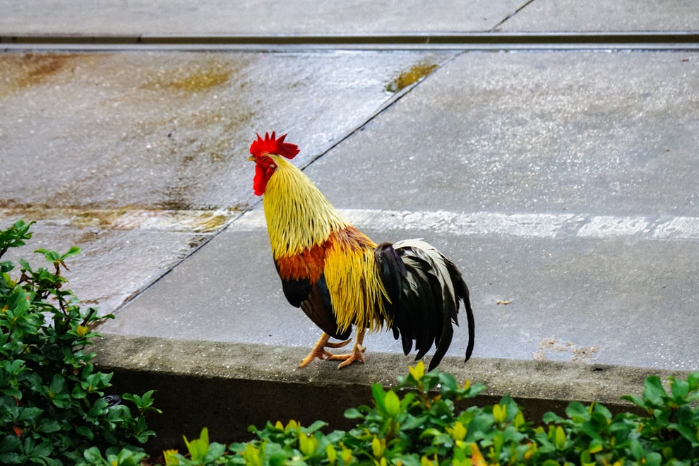 50 Wildly Inappropriate Dirty Jokes To Make Adults Blush