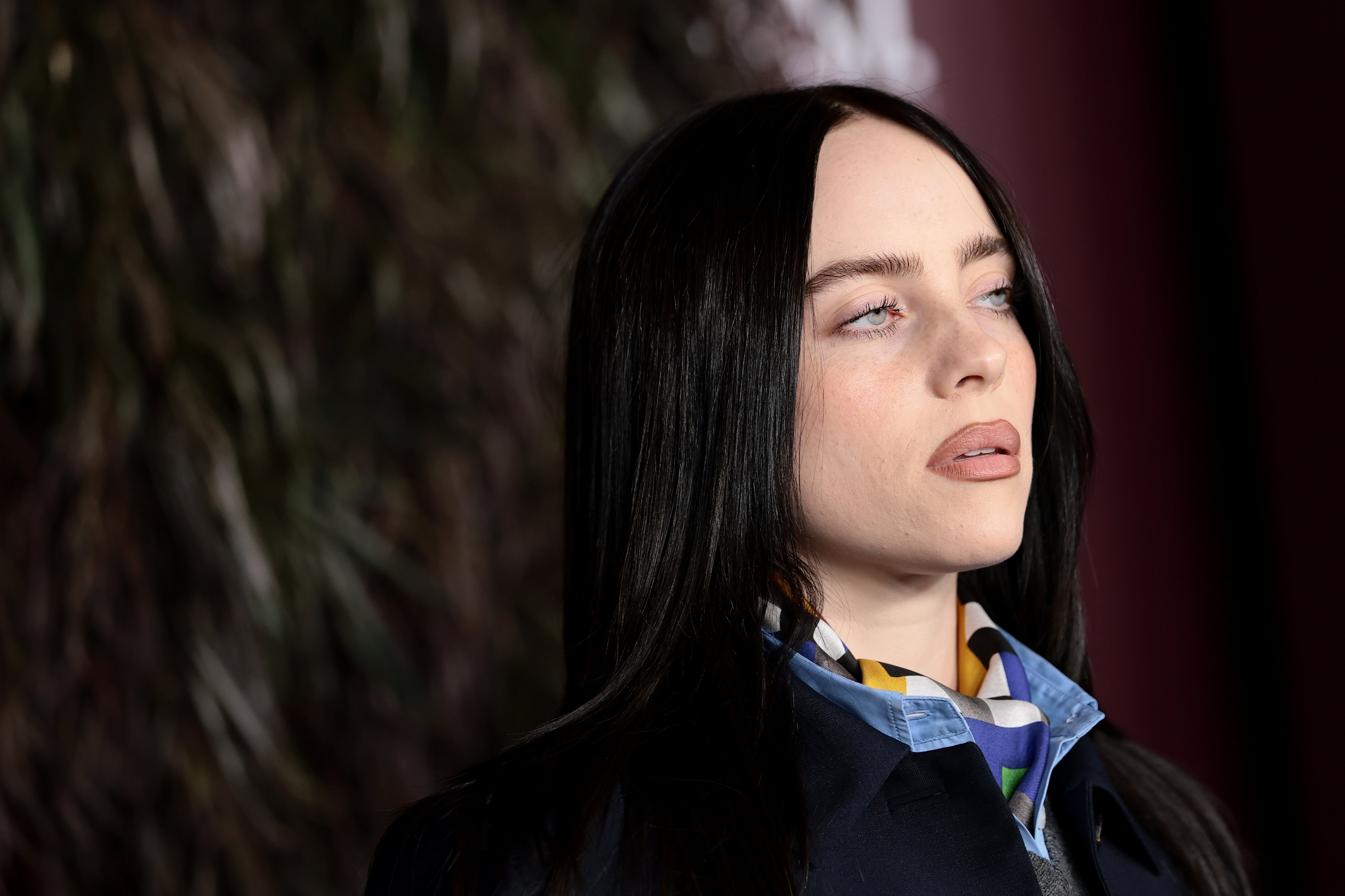 Billie Eilish Calls Out Billionaires, Reactions