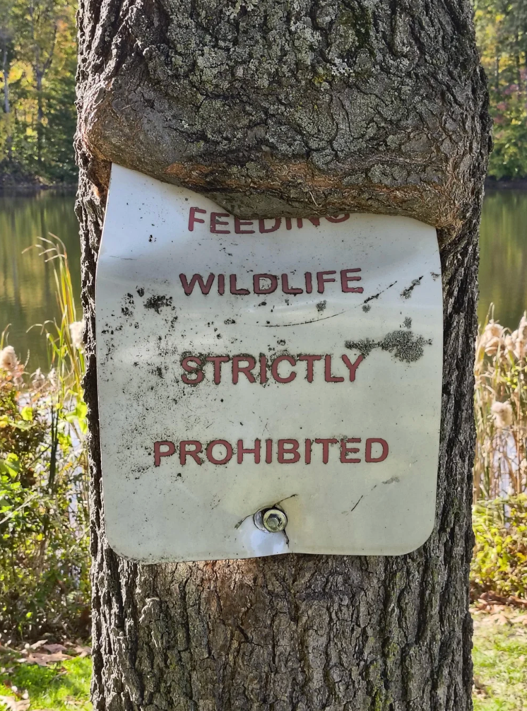 16 Hilarious Signs That Will Make You Laugh Out Loud