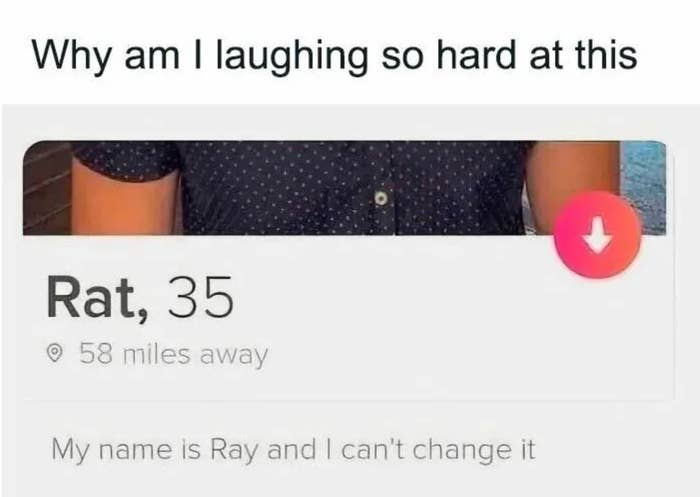 99 Completely Unhinged And Absolutely Hilarious Pictures That Make Me ...