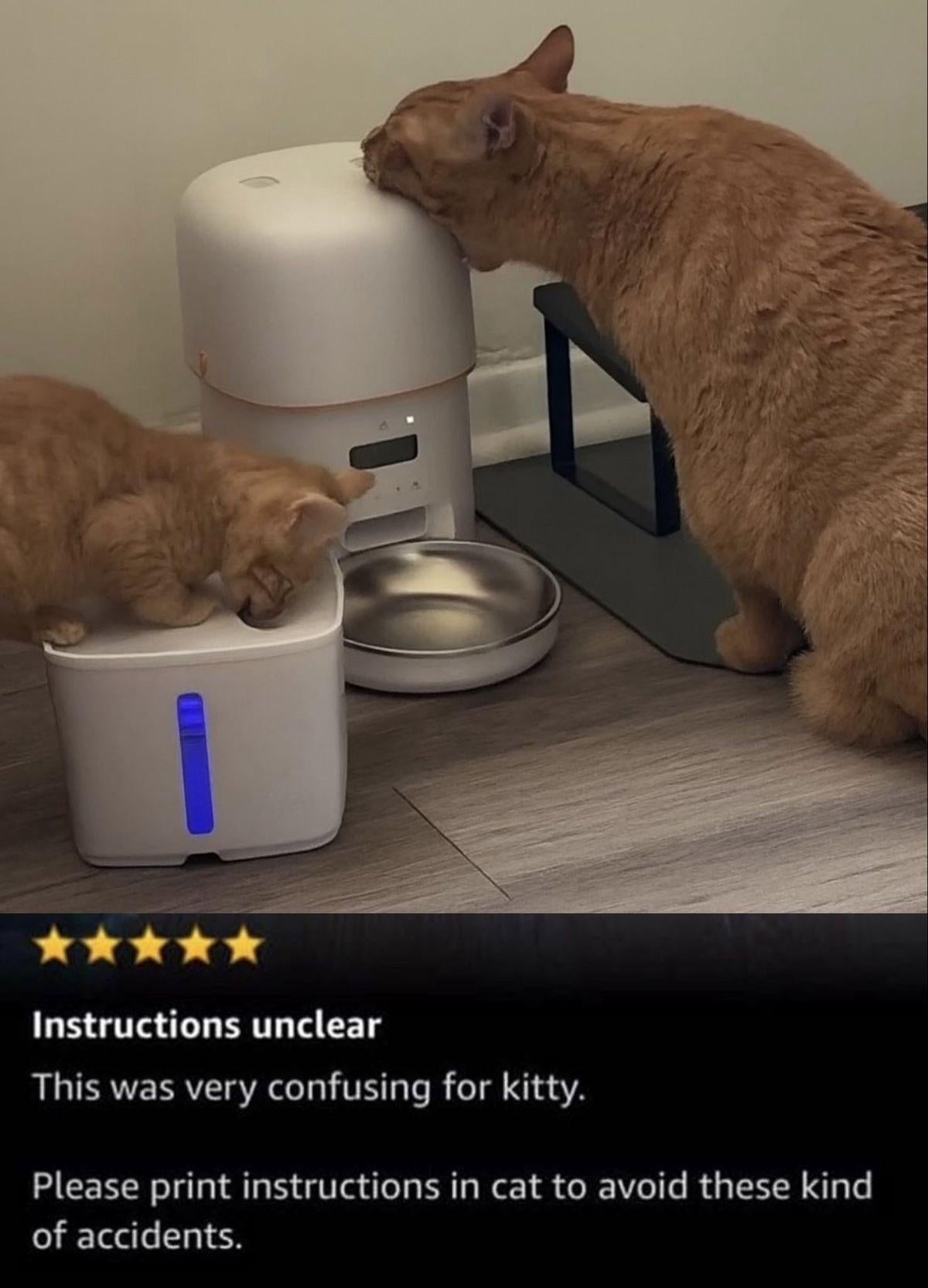 99 Completely Unhinged And Absolutely Hilarious Pictures That Make Me ...