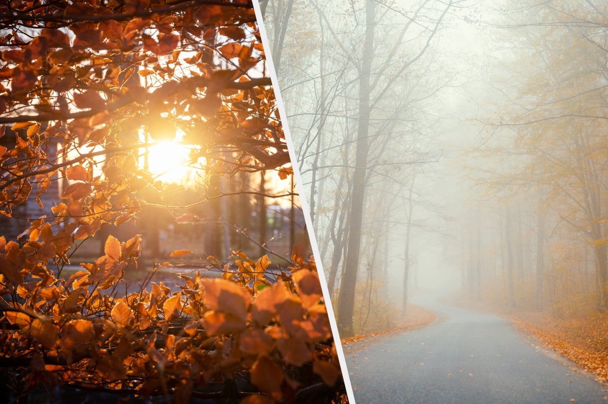 What Autumn Weather Are You? We Know Which Seasonal Forecast Matches ...