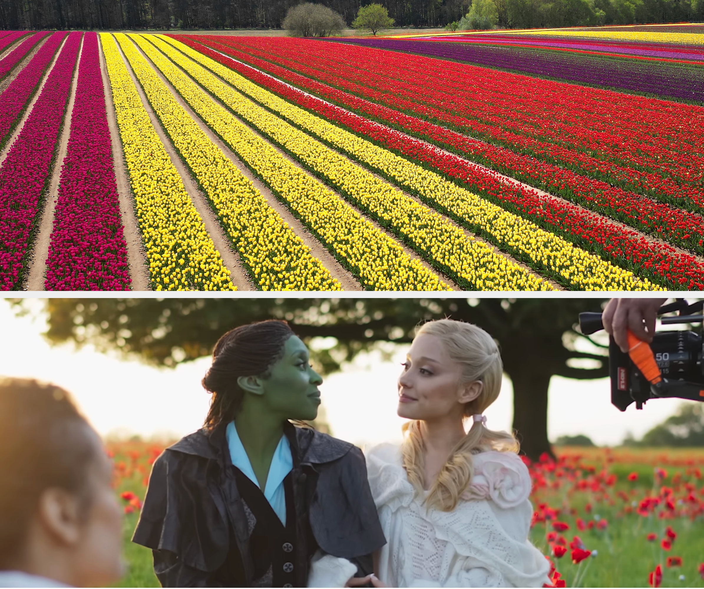 5 'Wicked: For Good' Filming Locations You Can Visit IRL