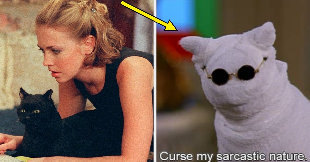 Name That TV Show From Its Famous Cat