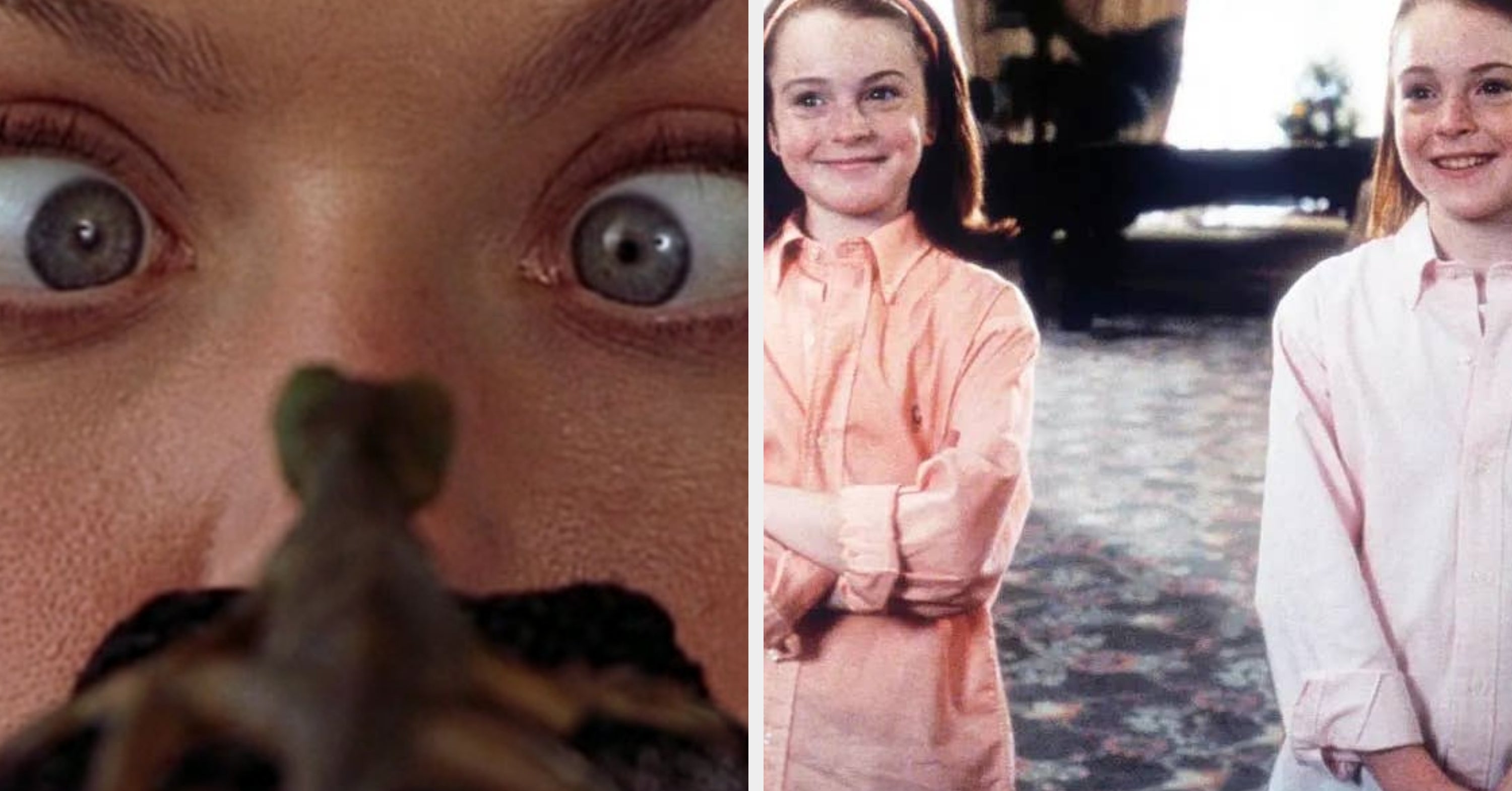Mind-Blowing Facts About The Parent Trap