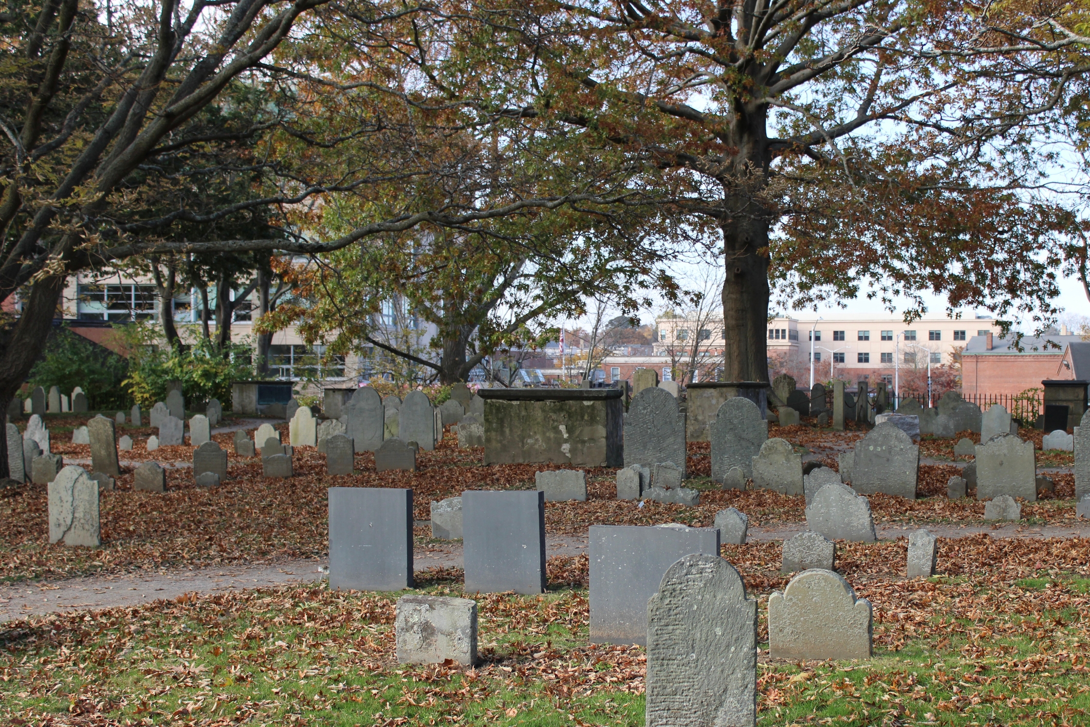 31 Families With Jaw-Dropping Generational Lore