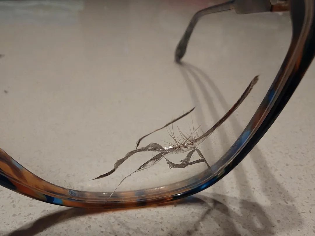 21 Unnerving Photos That'll Make Your Brain Itch