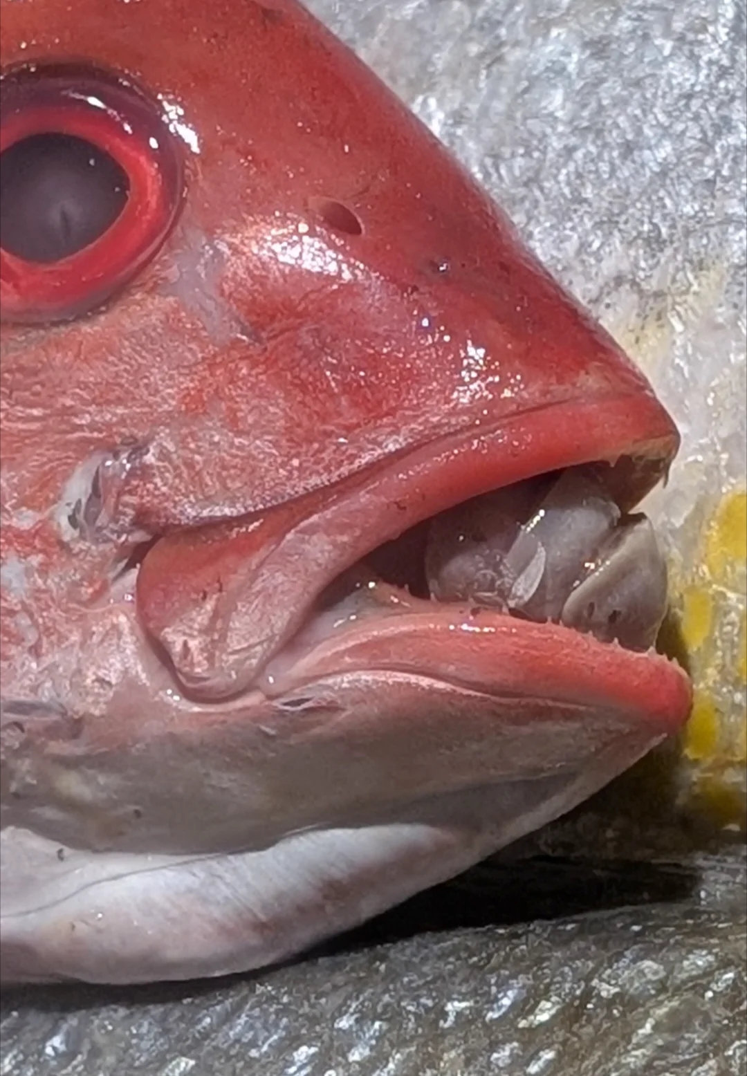 21 Unnerving Photos That'll Make Your Brain Itch