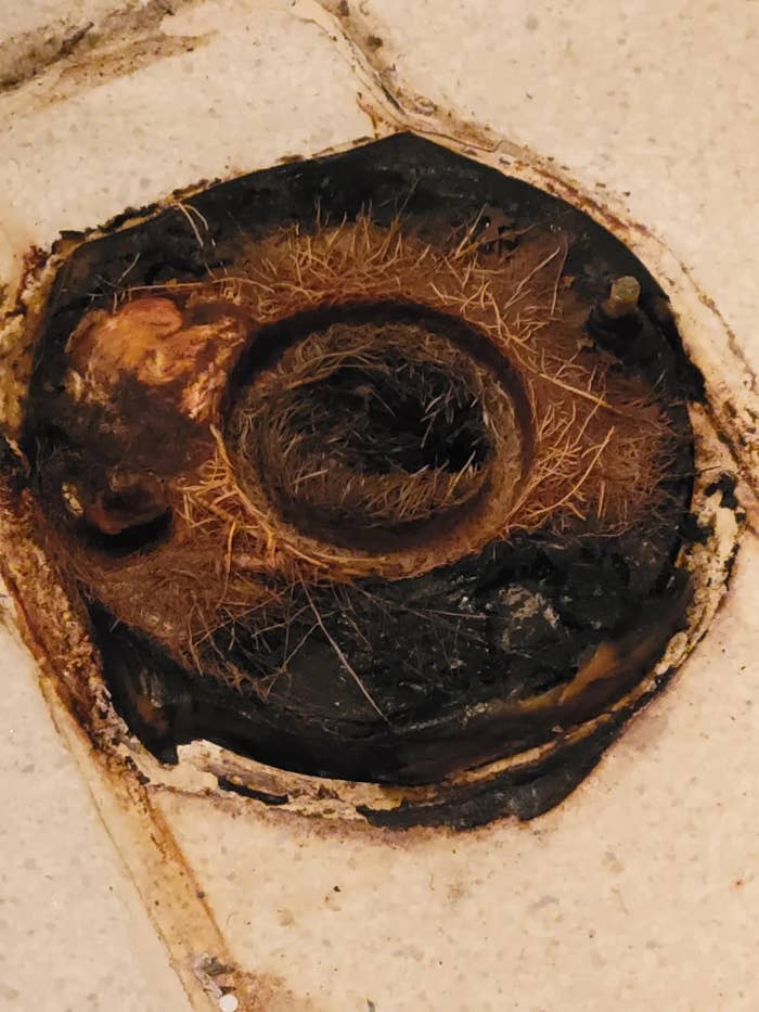 21 Unnerving Photos That'll Make Your Brain Itch