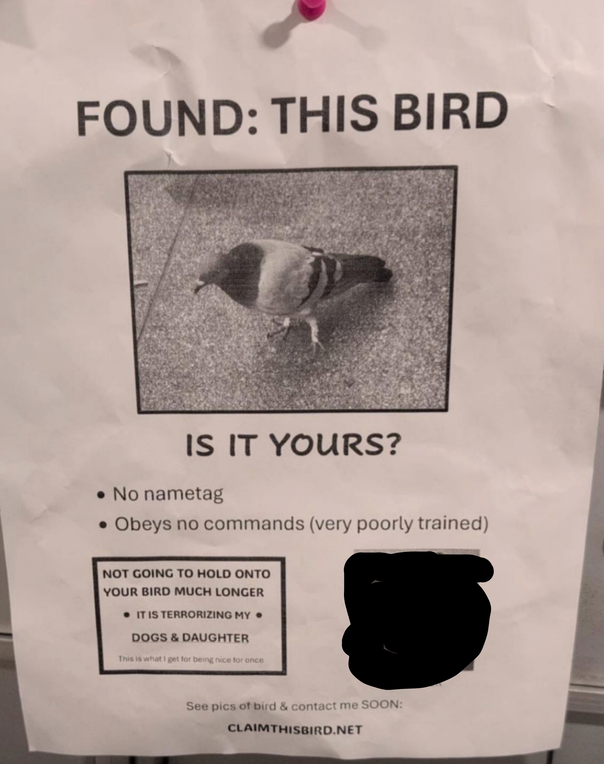 23 Funny, Notes, Signs, And Messages