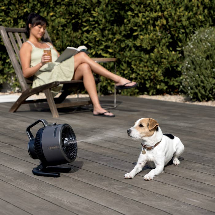 Top-Rated Portable Fan For Hot Summer Days