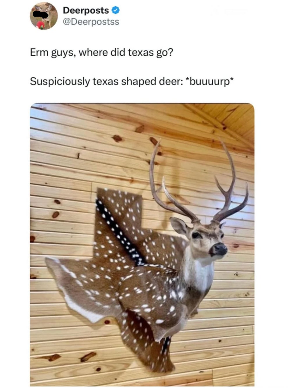 99 Completely Unhinged And Absolutely Hilarious Pictures That Make Me ...