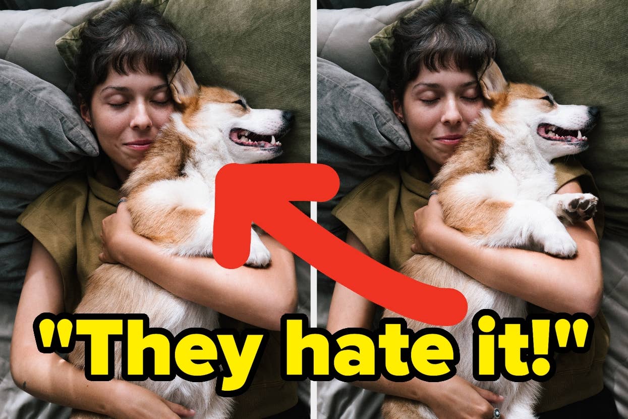 i hate everything corgi