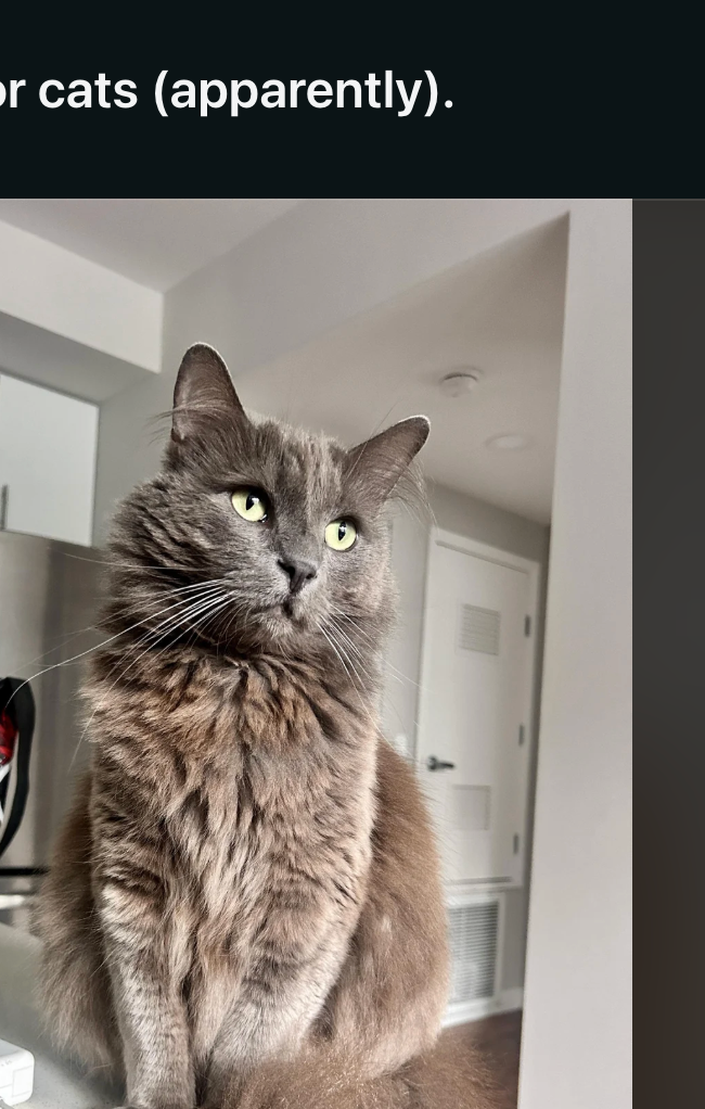 25 Red Flag Items People Saw In Another Person's Home