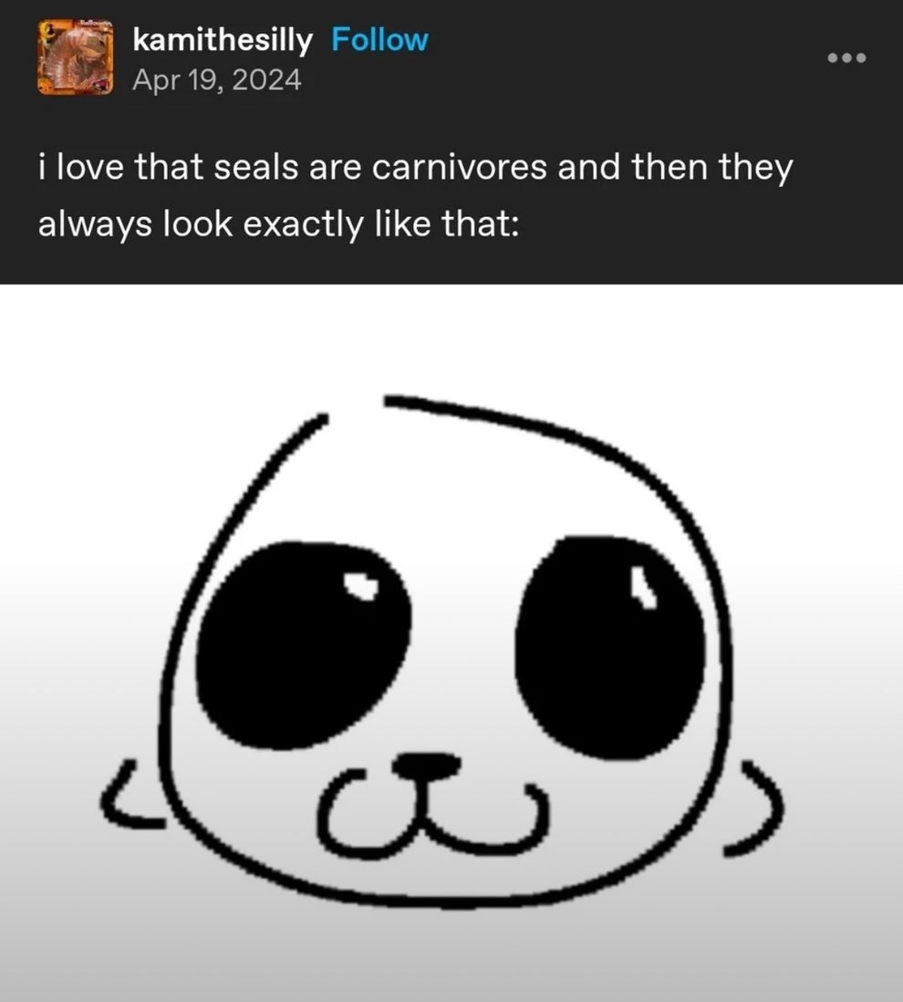 99 Completely Unhinged And Absolutely Hilarious Pictures That Make Me ...