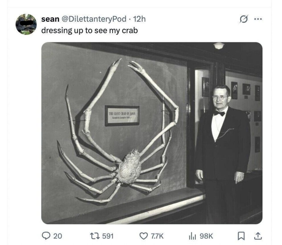 99 Completely Unhinged And Absolutely Hilarious Pictures That Make Me ...