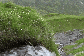 28 Mind-Blowing Facts That Sound Fake But Are Real