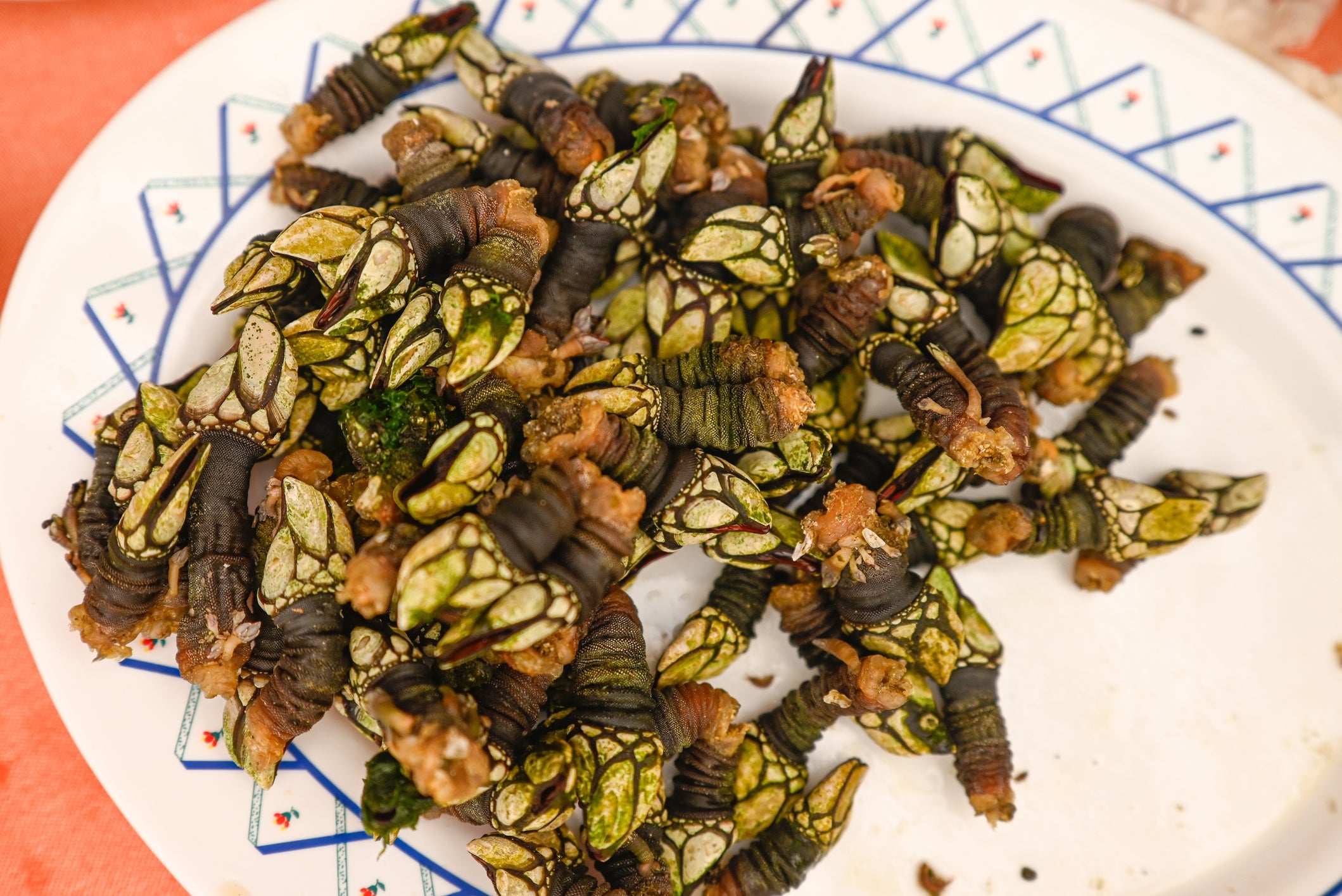 21 Unusual Delicacy Foods From Around The World