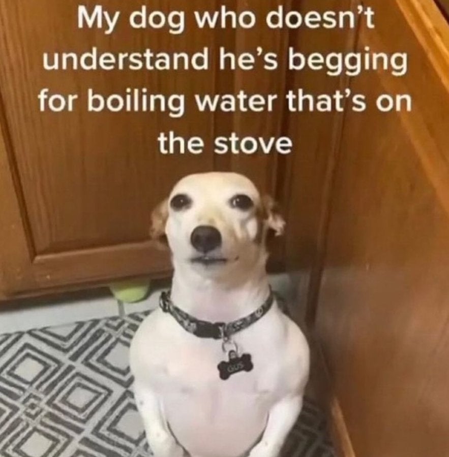 29 Incredibly Dumb Screenshots That Get Goofier And Goofier And Goofier ...