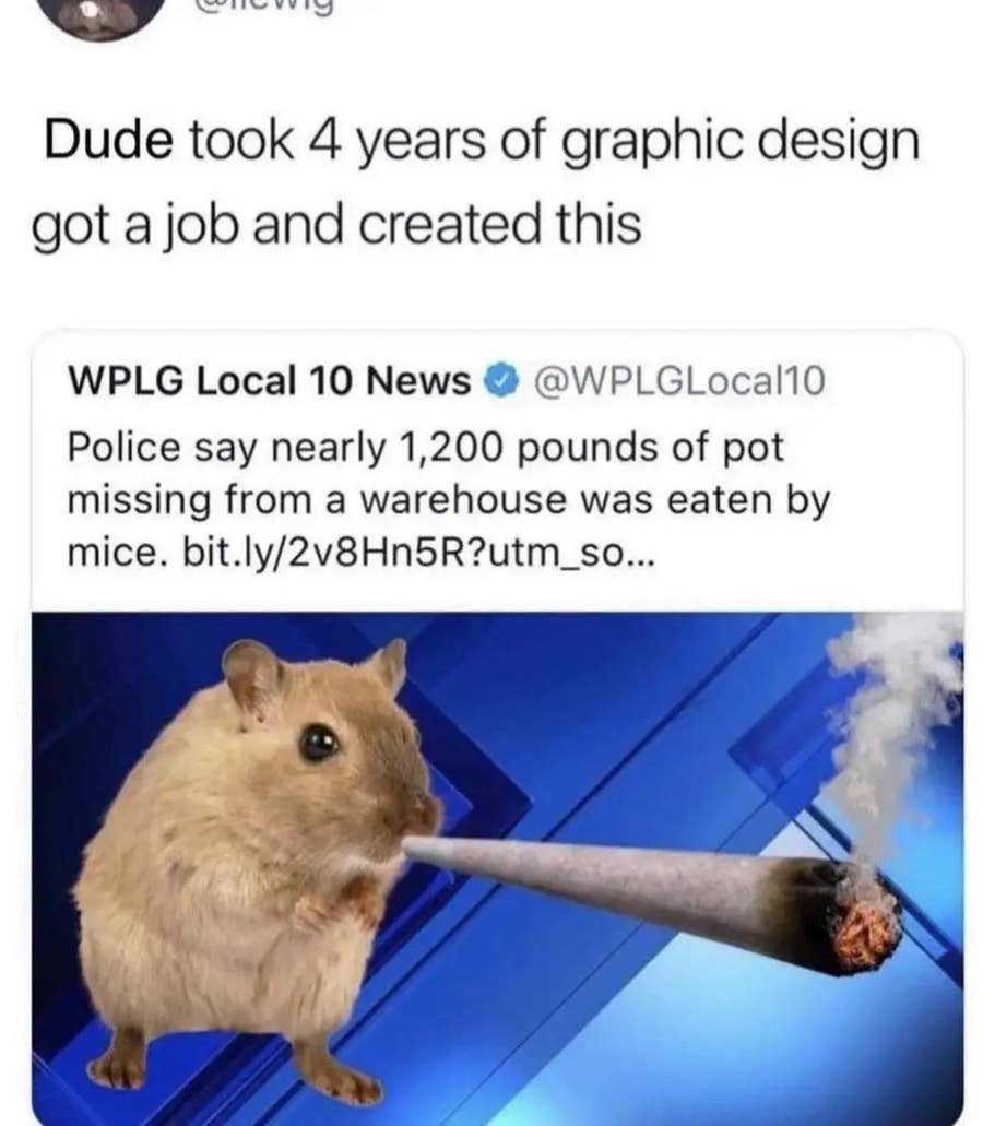 19 Amusing Mice Meme That Make You Laugh All Day Memesboy