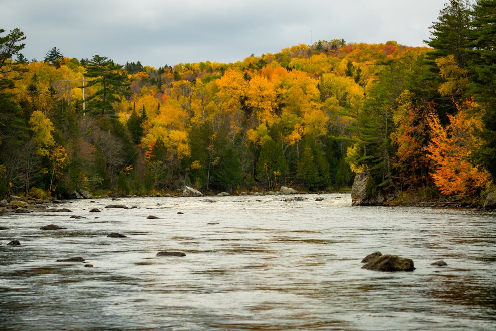 Weird Maine Facts You Never Knew